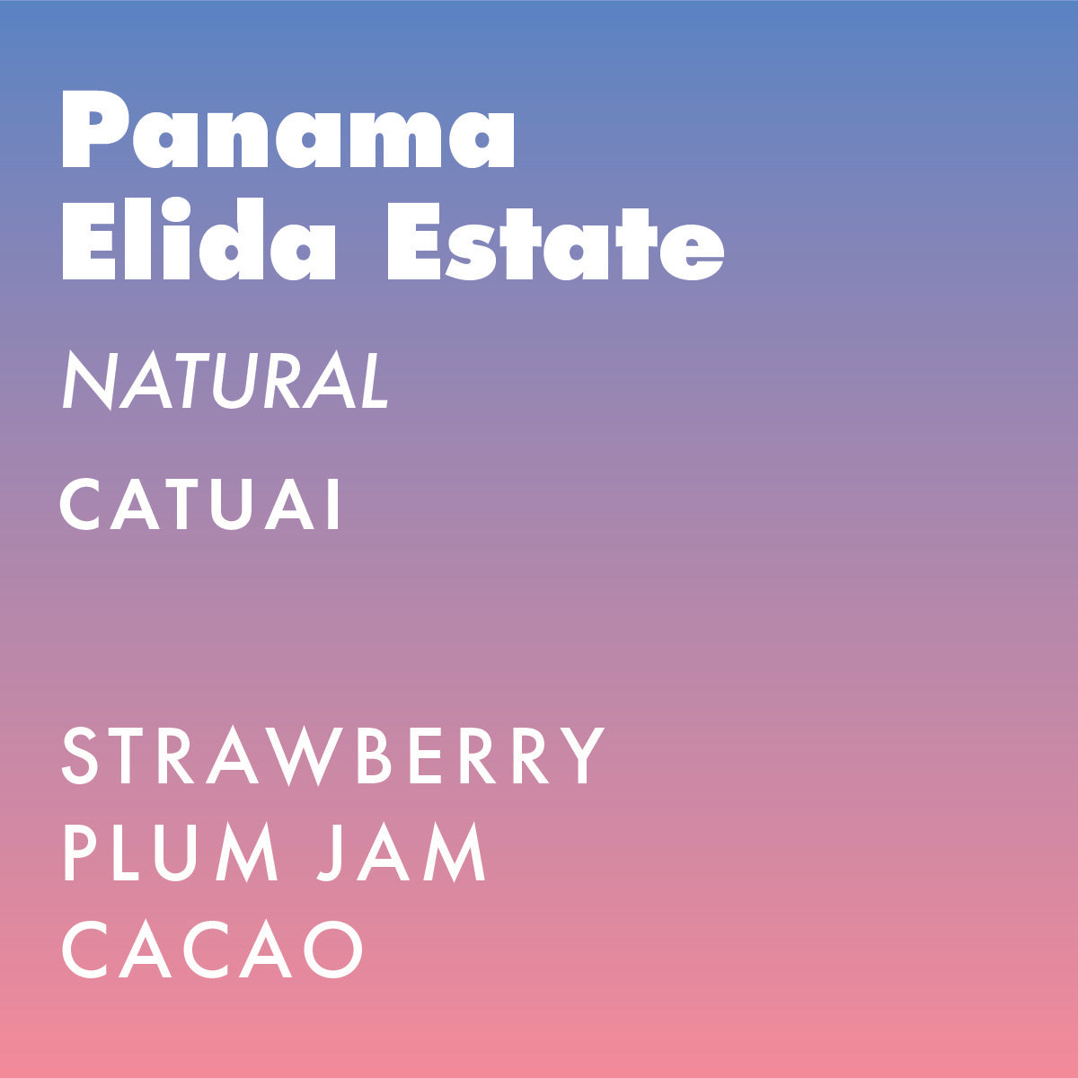 Panama Elida Estate – DUNE COFFEE ROASTERS